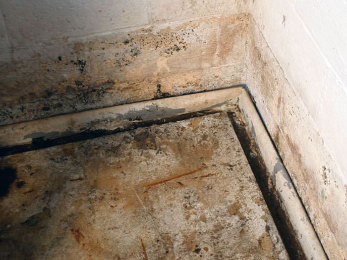 Installing An Effective Weeping Tile System In Southwestern Ontario ...